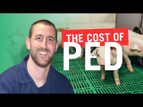 PED Elimination Strategies: A podcast – Swine in Minnesota