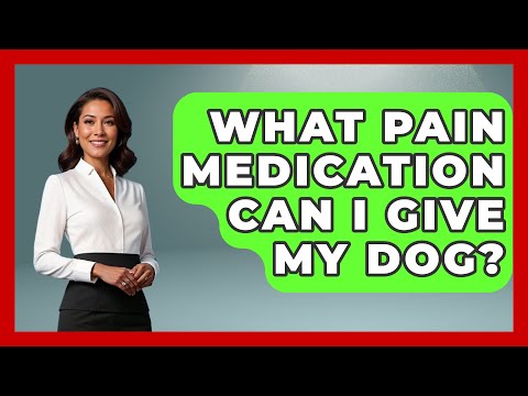 What Pain Medication Can I Give My Dog? - Pain Medicine Network