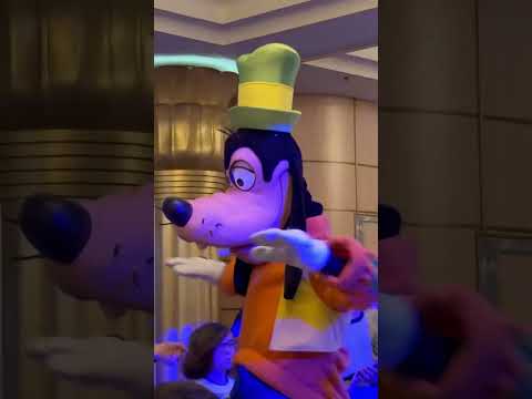 William Backy - Goofy at Character Dance Party on the Disney Fantasy