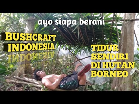 BUSHCRAFT INDONESIA SOLO IN JUNGLE BORNEO