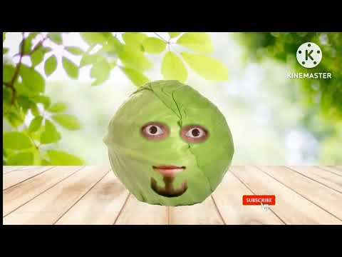 hello bacon video