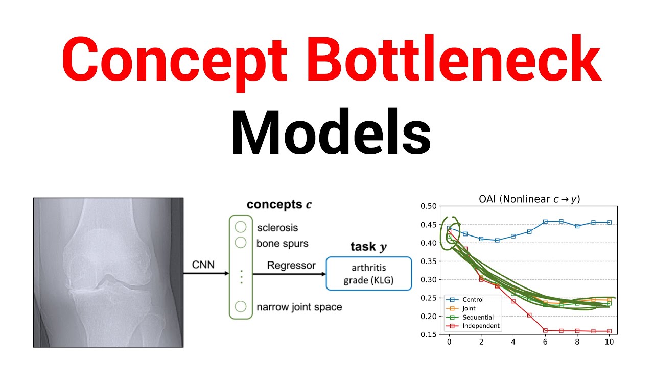 Concept Bottleneck Models (Paper Explained)