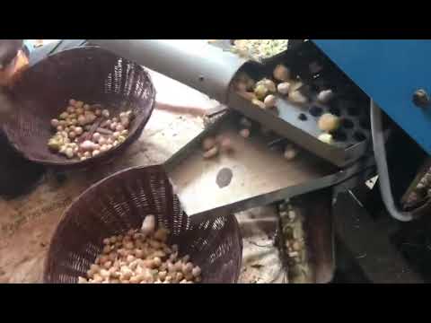 Arecanut Dehusking Machine - Areca Nut Peeling Machine Latest Price ...