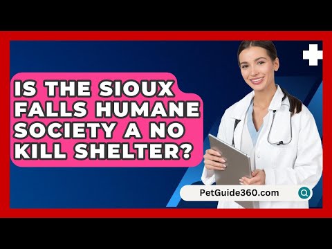 Is The Sioux Falls Humane Society A No Kill Shelter? - PetGuide360.com