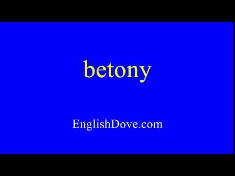 How to pronounce betony in American English.