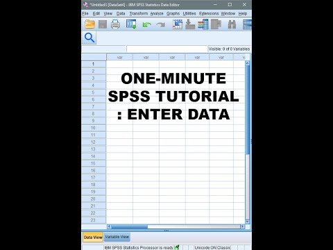 One-Minute SPSS Tutorial: How to enter data