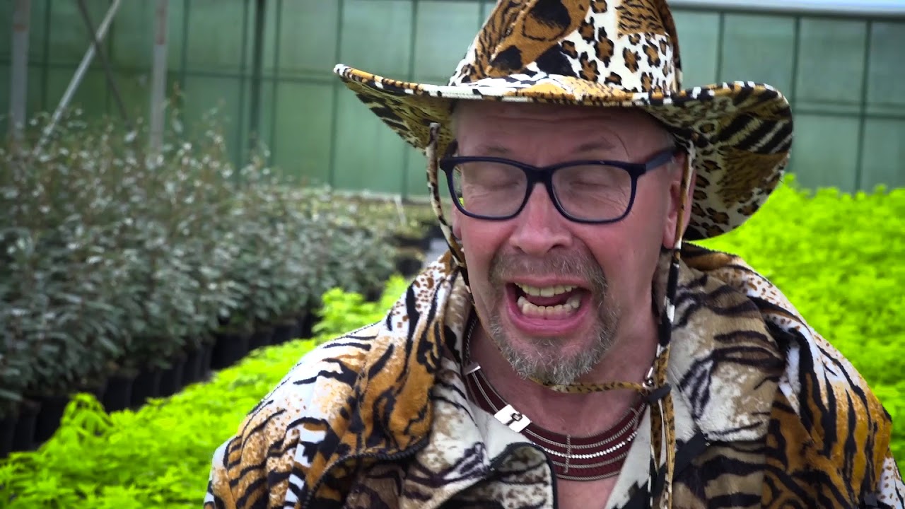 muziek - Donpierro.nl