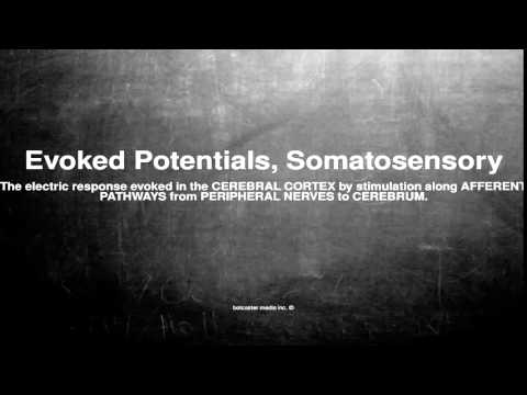 Medical vocabulary: What does Evoked Potentials, Somatosensory mean