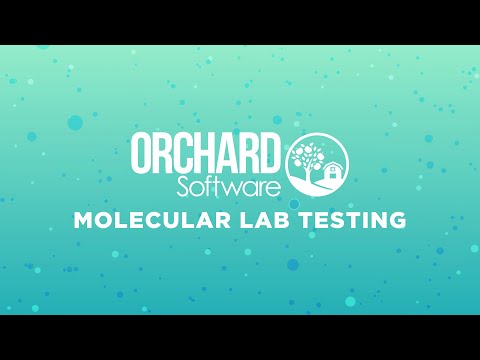 What Is Molecular Lab Testing?