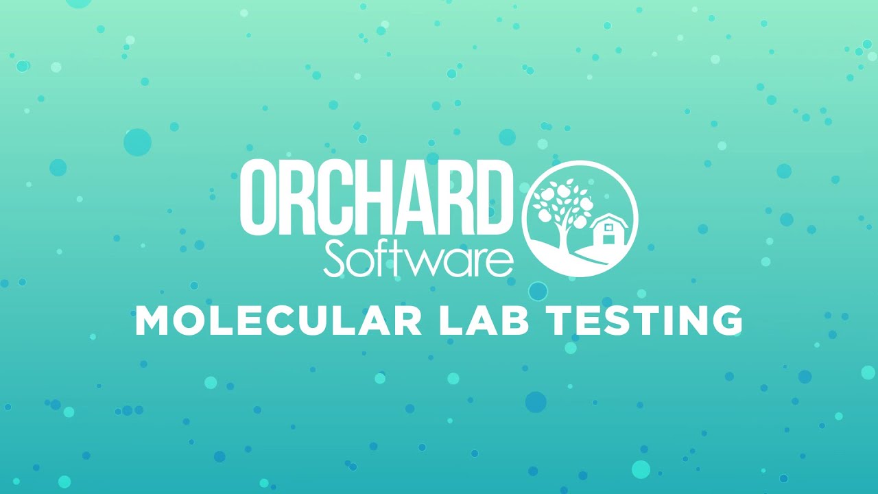 What Is Molecular Lab Testing?