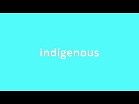 what is the meaning of indigenous