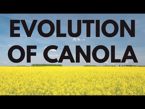 Class of 2024 Hall of Fame: The evolution of canola with Dr. Michael Eskin