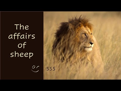 💪 Even a sheep on steroids is no bother to the lion 🦁 – How I deal with life’s troubles
