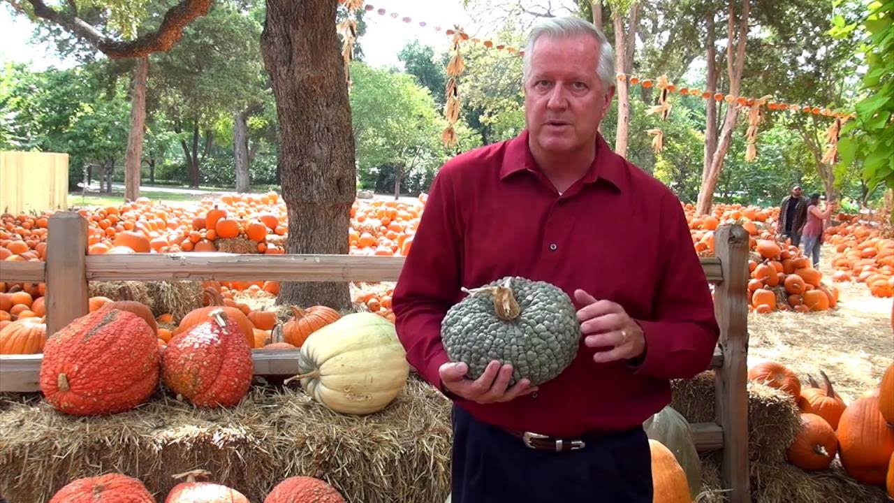 In the Garden with Dave Forehand: Edible Pumpkins