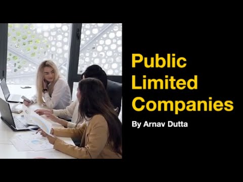 What are Public Limited/ Listed Companies (U3 - AOS1 - Types of business)