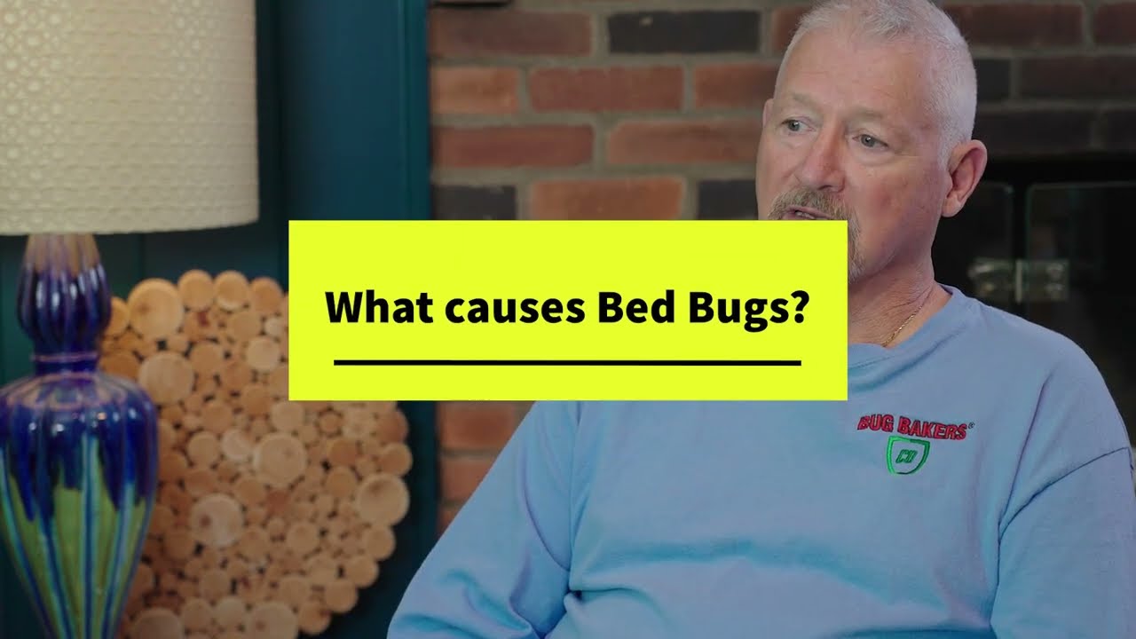 What Causes Bed Bugs? How does Bug Bakers treat bed bugs?