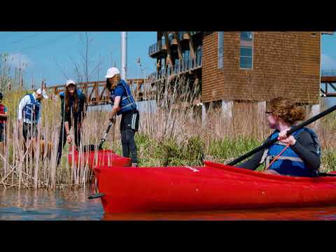 What is a Watershed?