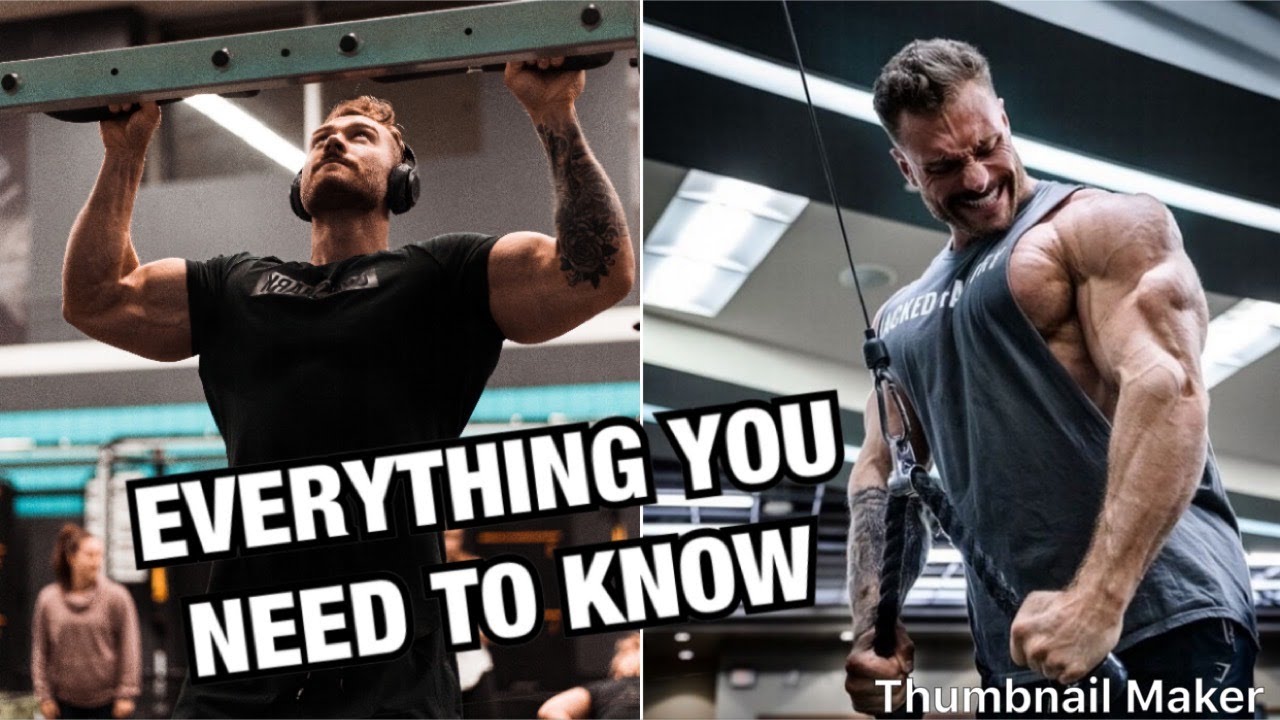 How Often Should I Go to the Gym & Can I Workout Everyday? | Gymshark ...