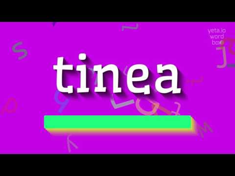 How to say "tinea"! (High Quality Voices)