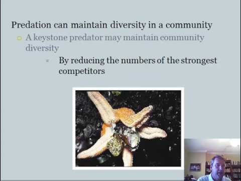 Communities and Ecosystems