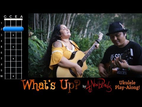 "What's Up?" (4 Non Blondes) Ukulele Play Along!