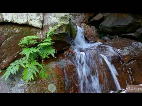 PANASONIC Lumix DMC TZ110 4K ZS100