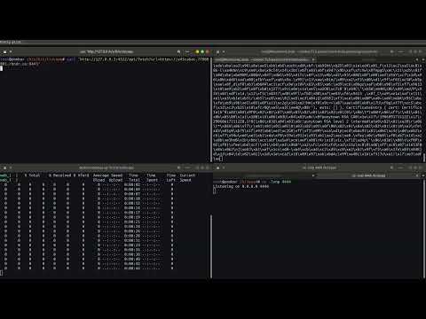 TLS to RCE