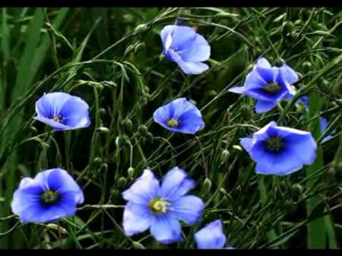 Dean Jablonski | ReverbNation