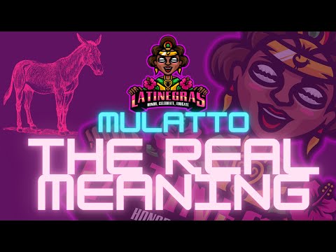 MULATTO - THE REAL MEANING