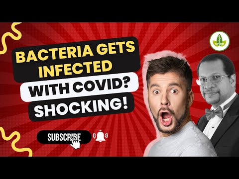 The Important Connection Between COVID Infection, Injection, and ...