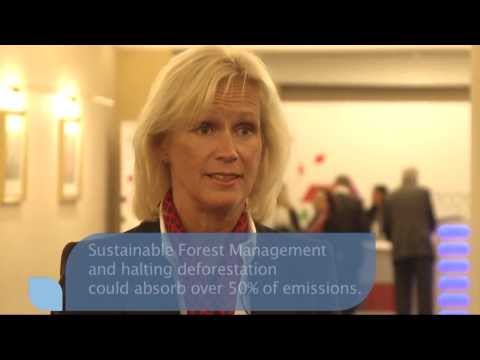 Action2020 "Forests as Carbon Sinks" interview