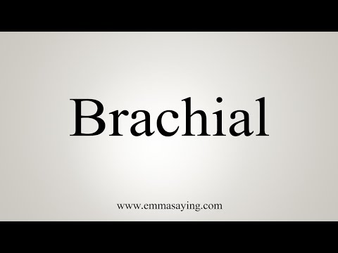 How To Say Brachial