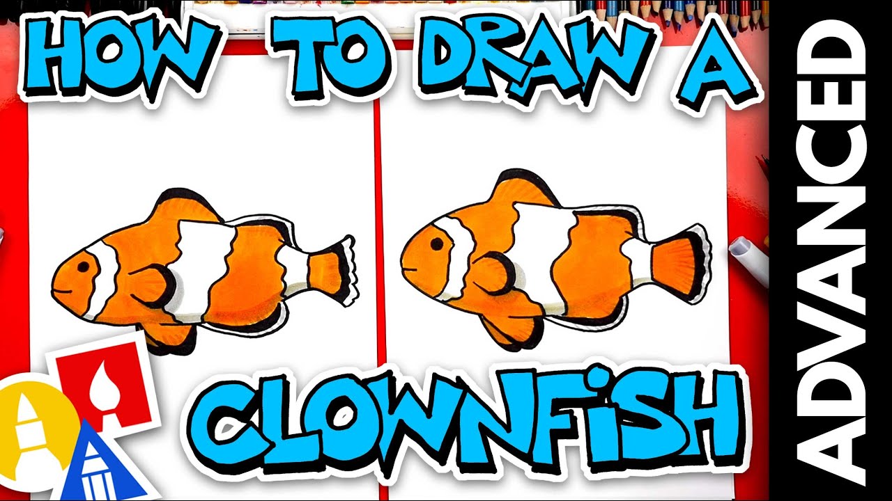 How To Draw A Realistic Clownfish