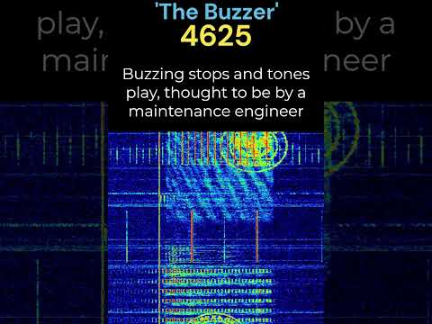 Pictures, tones and mystery data on The Buzzer "UVB-76" 4625KHz!