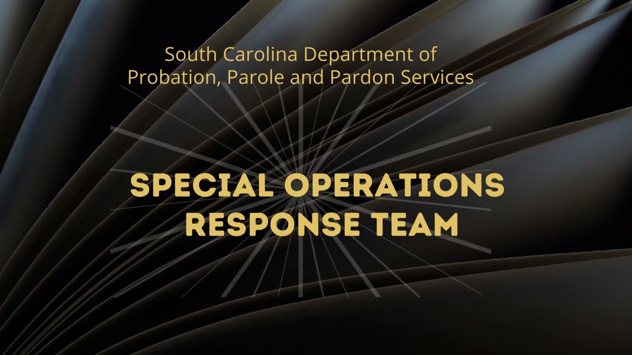 SORT PowerPoint 002AD pptx