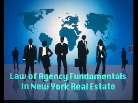The Fundamentals of Agency Law in NYS