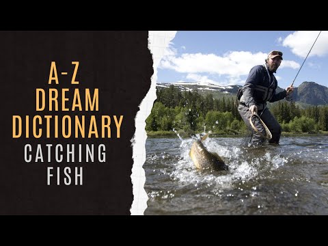 🐟Catching Fish Dream Symbolism | Catching Fish Dream Dictionary | Catching Fish Dream Analysis