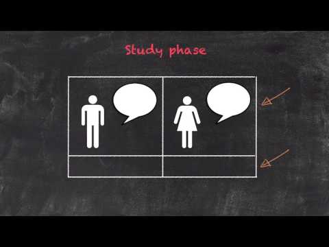 Productive and Receptive Skills in the EFL Classroom - Writing Skills - Study Phase
