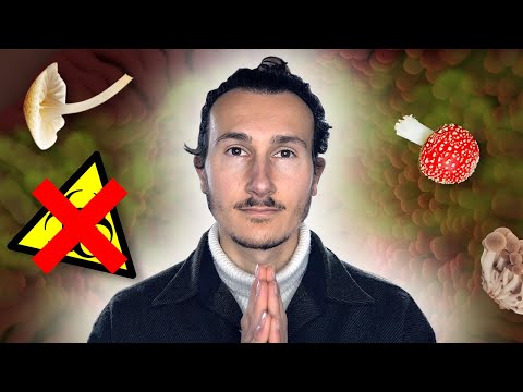 CANDIDOSE : le VRAI Remède aux Candida albicans 🍄