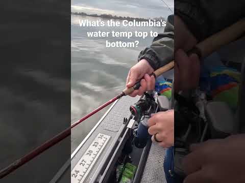10 miles below McNary Dam. Watch the complete Spring Walleye episode and we do stock Fish Hawk TDs.