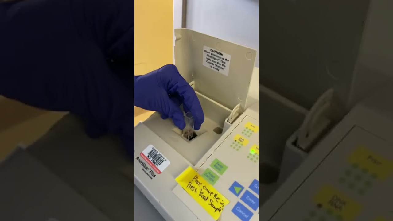 Loading a cuvette into a spectrophotometer