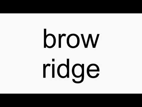 How to pronounce brow ridge