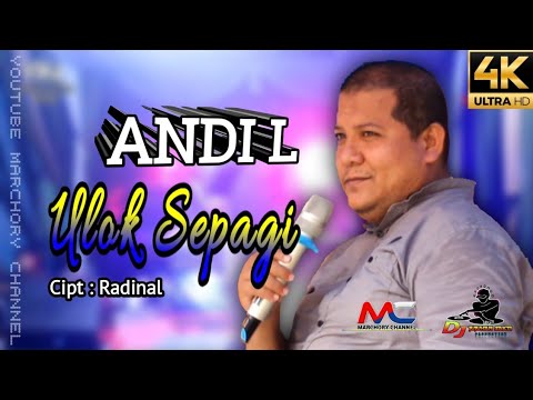 LAGU DAERAH JAMBI _ Ulok Sepagi ( Ulfa S ) _ Andi Lesmana ( cover ) Arr Hengky - WINA MUSIC