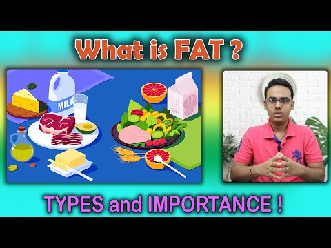 What is FAT ? IMPORTANCE of Fat in our BODY !