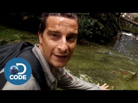 Man vs. Wild - Bear Grylls in Borneo…: English ESL video lessons