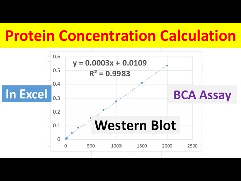 How to Calculate Protein Concentration of Unknown Sample from Standard Curve in Excel