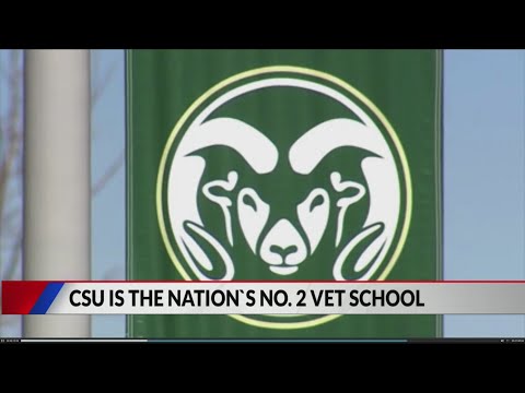 CSU vet school ranked 2nd in nation