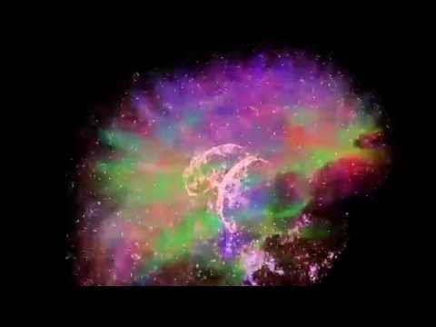 Near Death Experiences: Neural Projections and Staying Alive