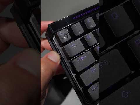 πROG Keyboard & Mice