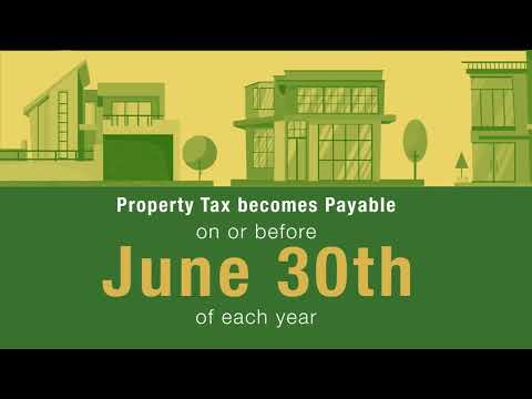 IRD Property Tax
